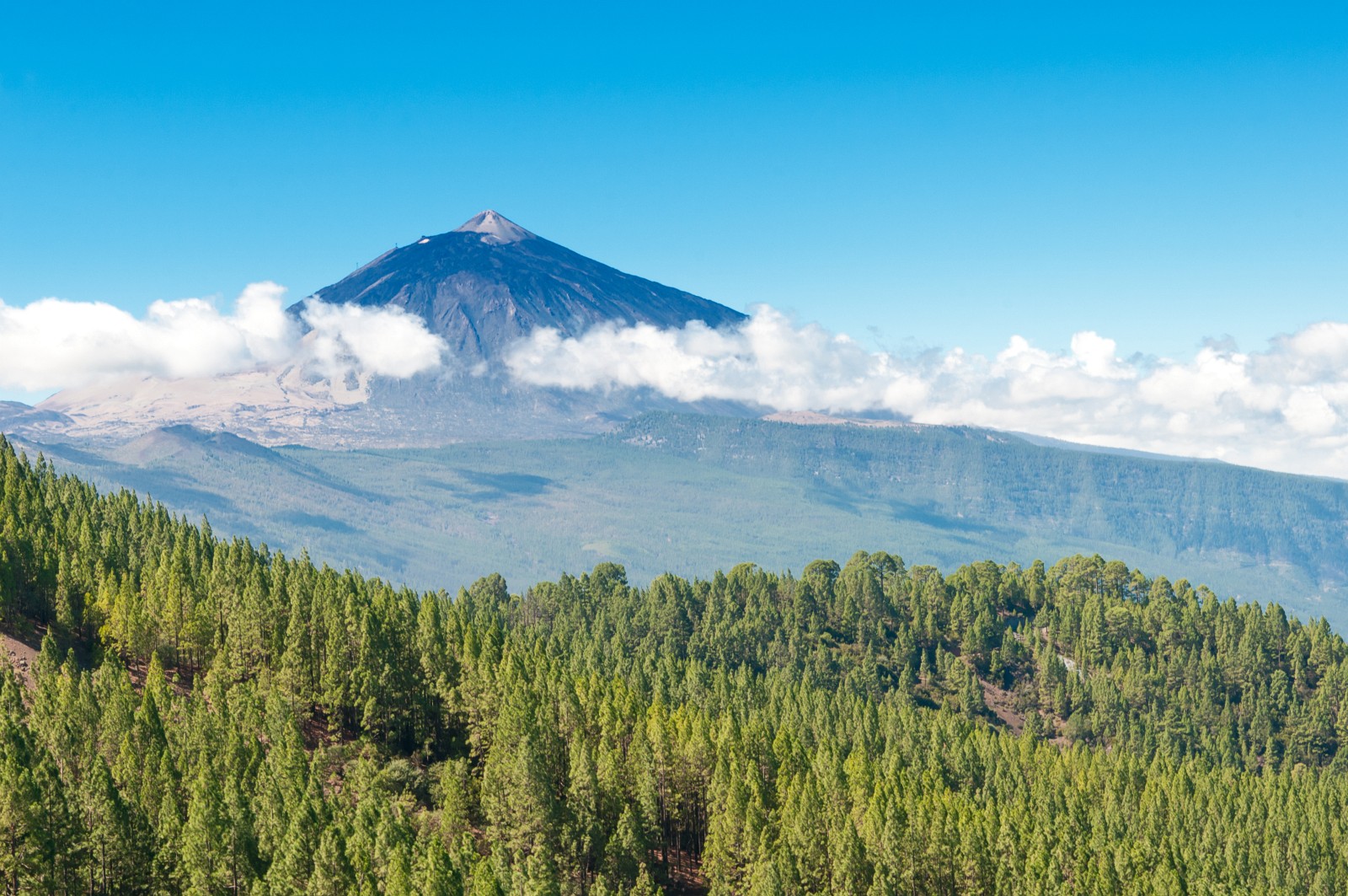 Monte Teide - Biglietti, orari e info utili