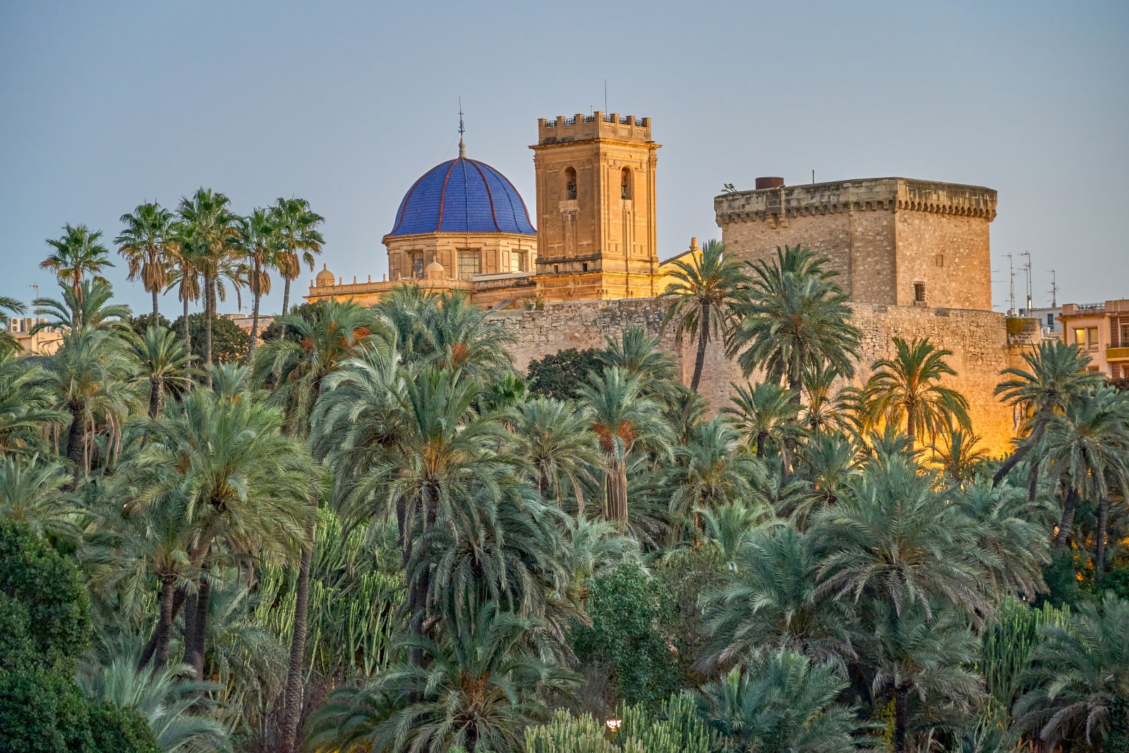 Elche - Cosa vedere e come arrivare